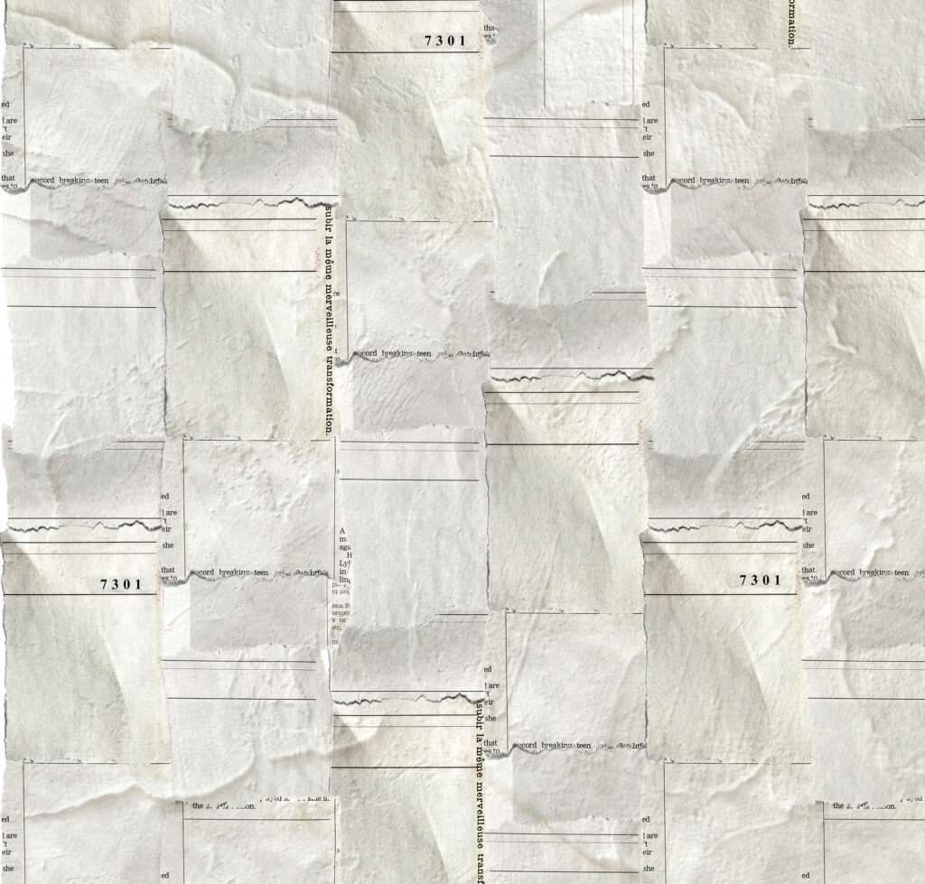 Newspaper pieces Sepia – Coordonné