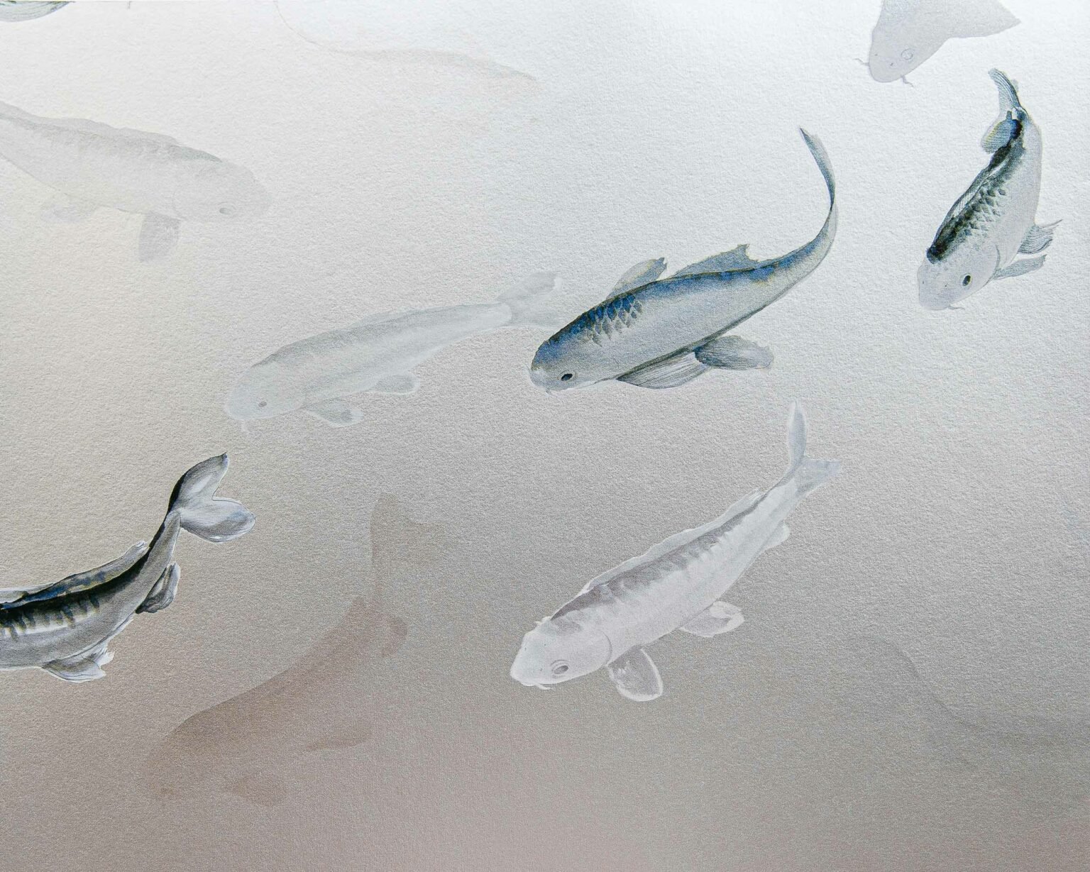 Koi Silver – Coordonné