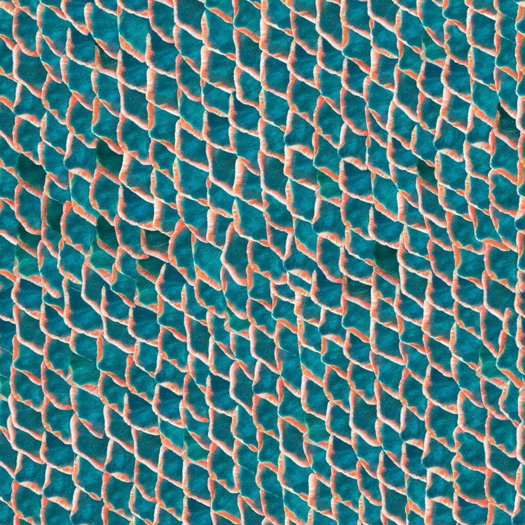 Fish skin Original – Coordonné