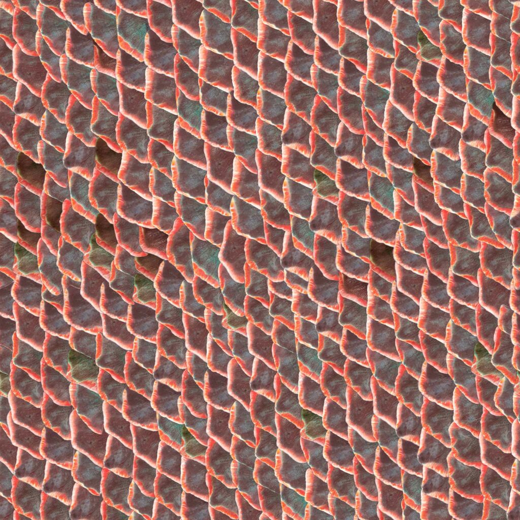 Fish skin Red – Coordonné