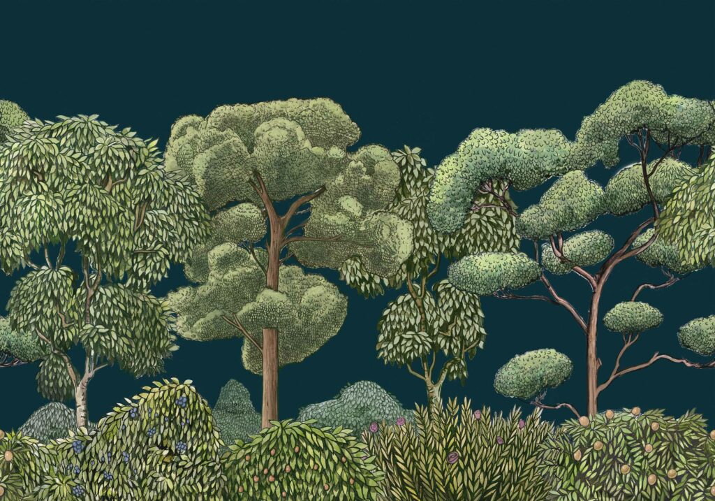 Green Forest Midnight – Coordonné