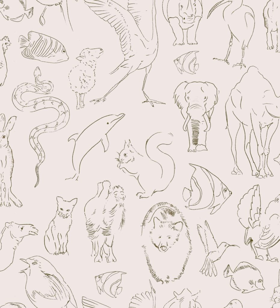 Zoology Natural - Coordonné