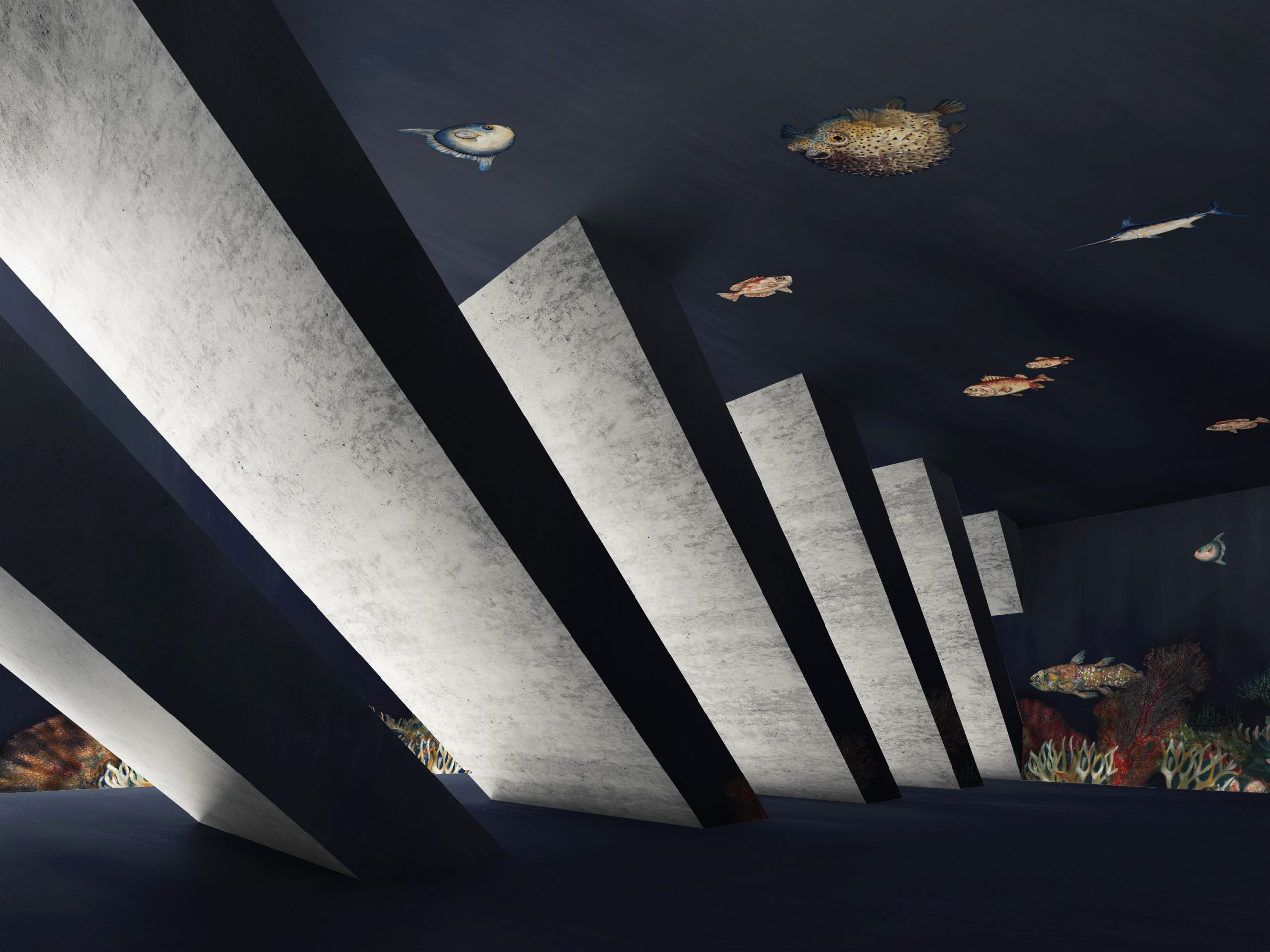 The arquitecture of the ocean - Coordonné