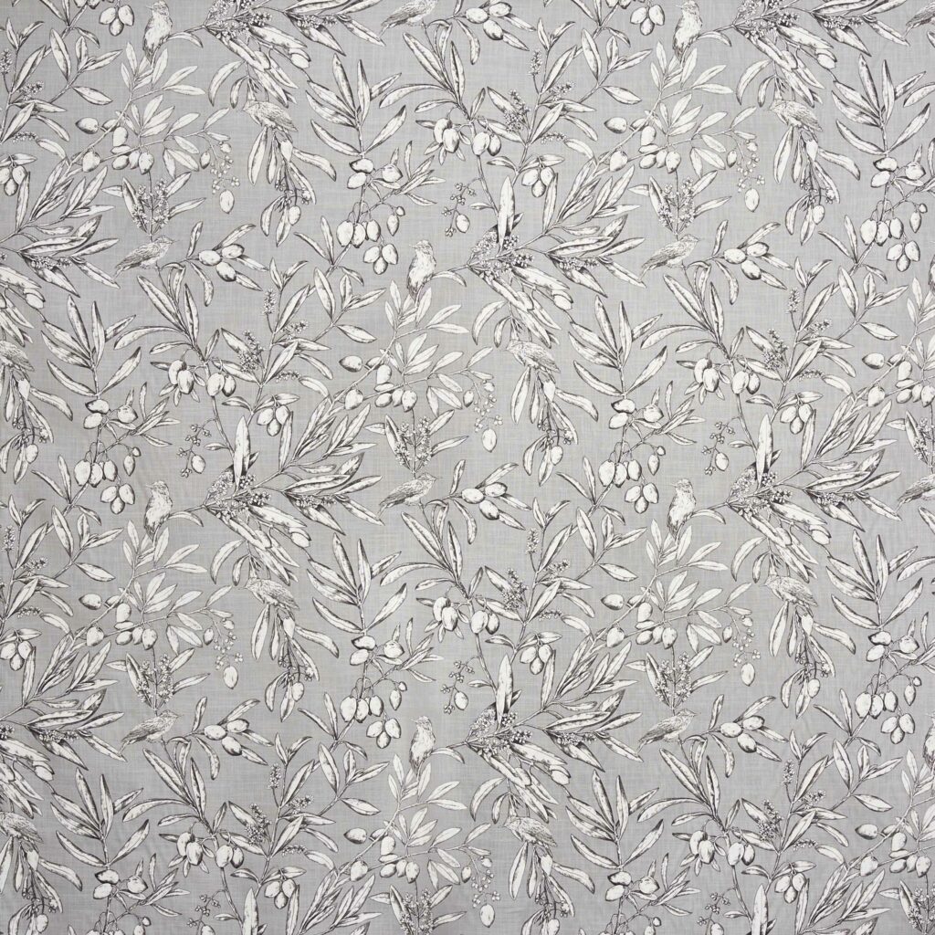 Aceituna Plata – Coordonné