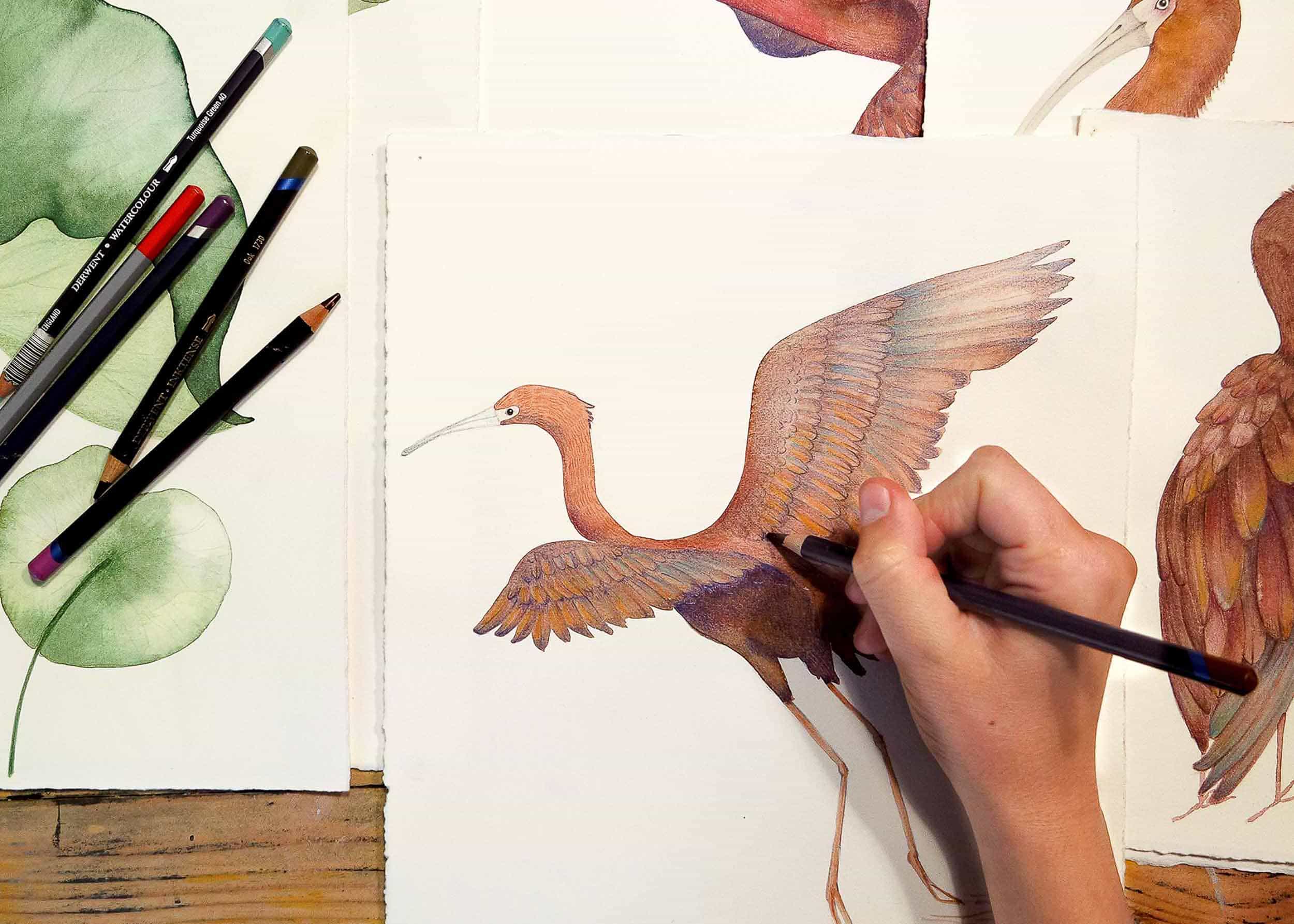 Hand-painted designs – Coordonné