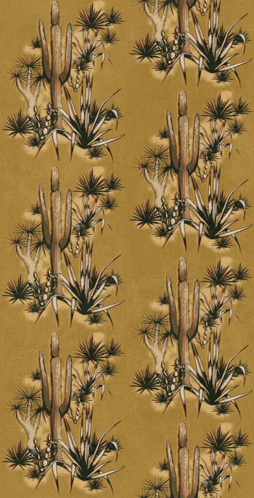 Grand Canyon Curry – Coordonné