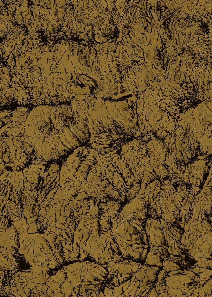 Sepia Gold – Coordonné