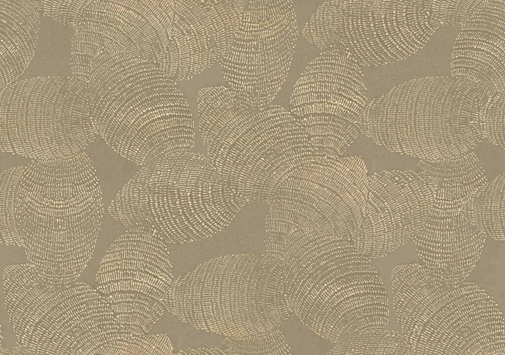Rif Relief Stone – Coordonné